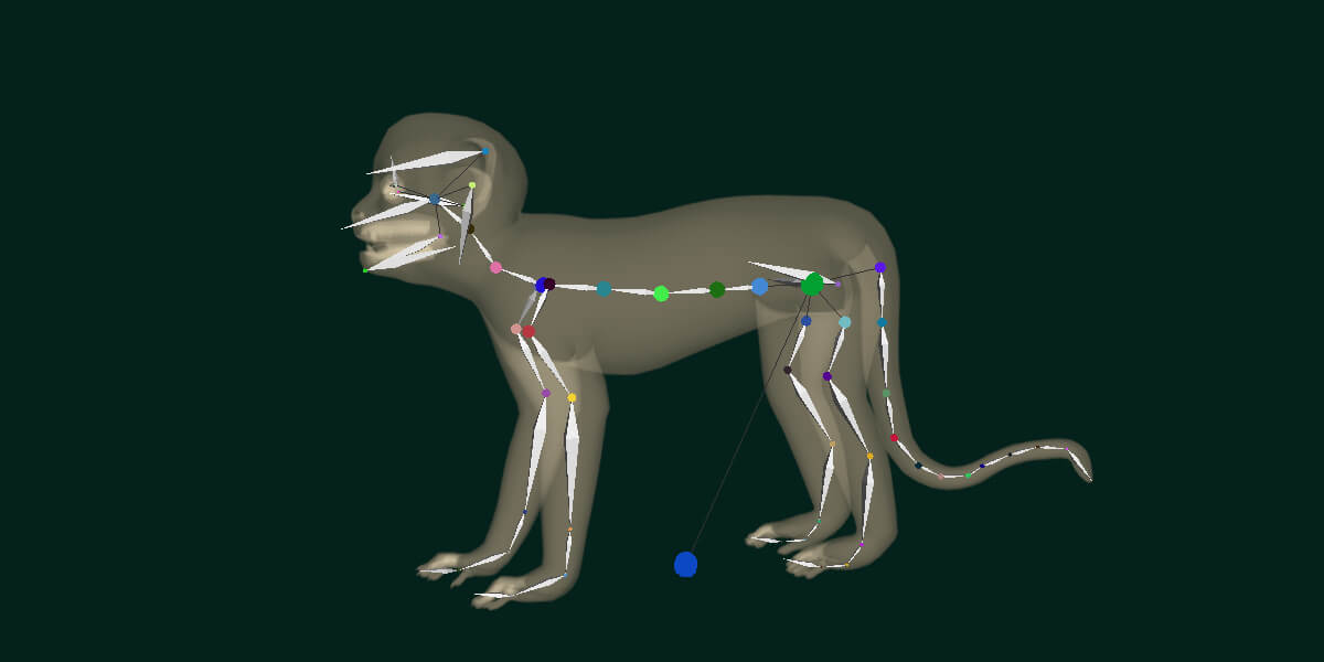 Squirrel Monkeys Primate - 3D Model by Nyilonelycompany