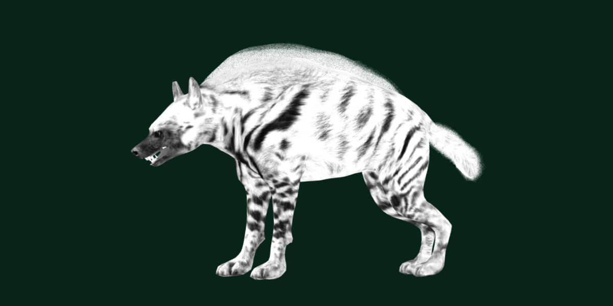 Striped Hyena Male Animal - 3D Model by Nyilonelycompany
