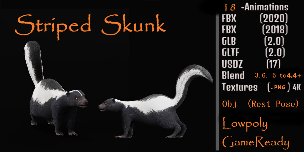 Striped Skunk - 3D Model by Nyilonelycompany