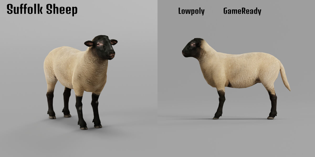 Suffolk Sheep - 3D Model by Nyilonelycompany