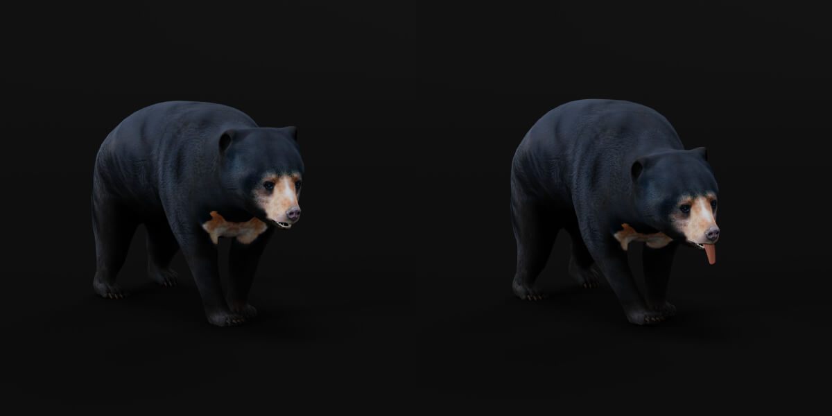 Sun Bear Animal - 3D Model by Nyilonelycompany