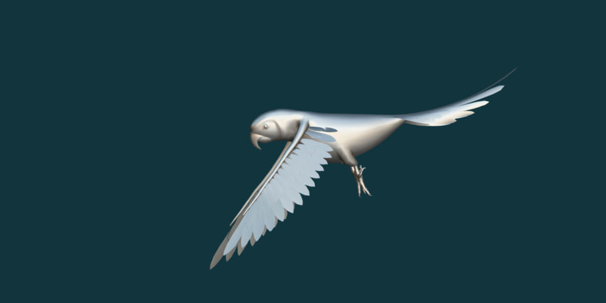 Sun Conures Parakeet Bird - 3D Model by Nyilonelycompany