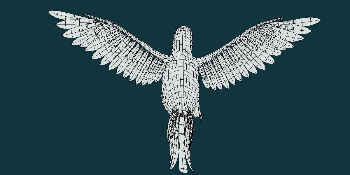 Sun Conures Parakeet Bird - 3D Model by Nyilonelycompany