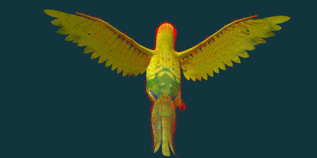 Sun Conures Parakeet Bird - 3D Model by Nyilonelycompany