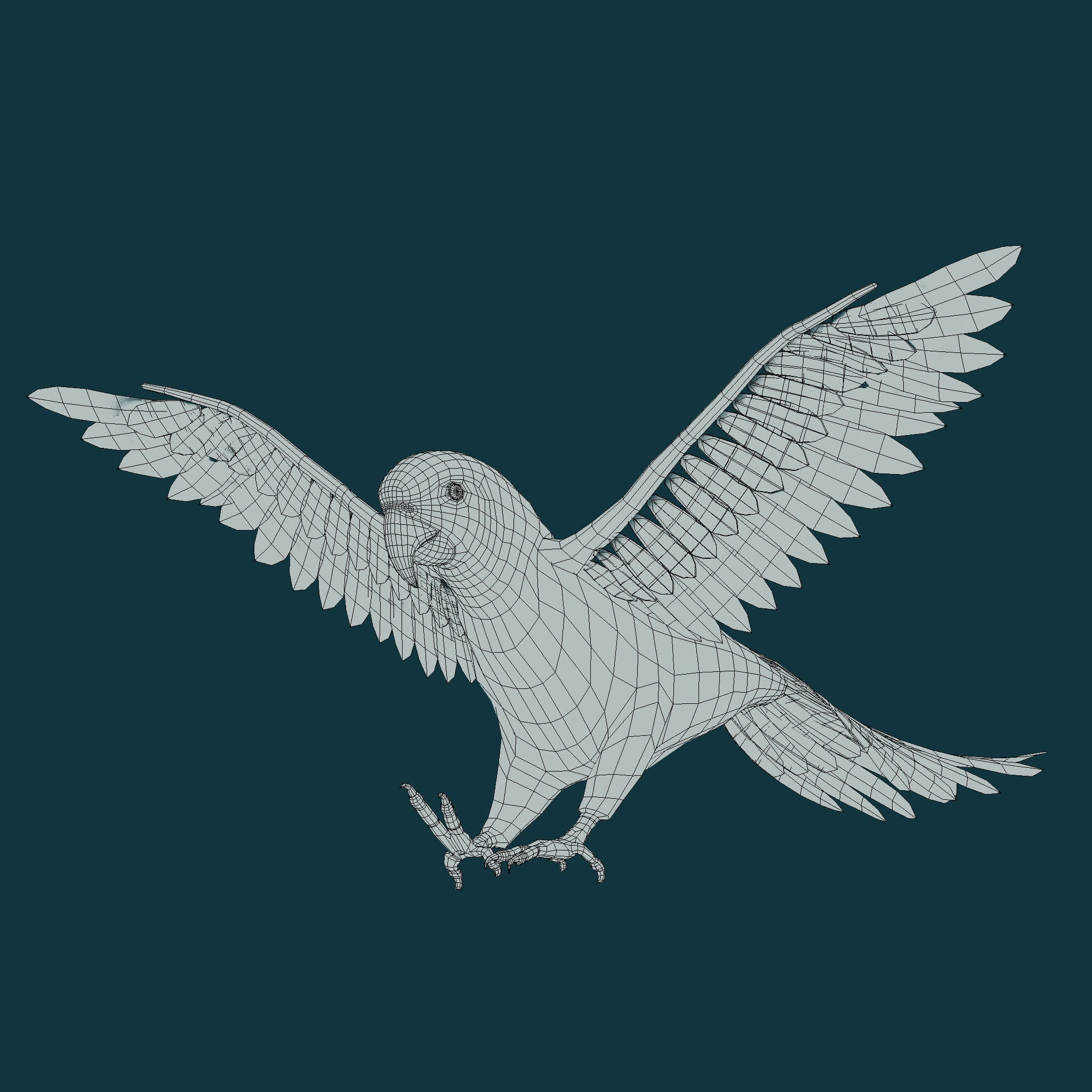 Sun Conures Parakeet Bird - 3D Model by Nyilonelycompany