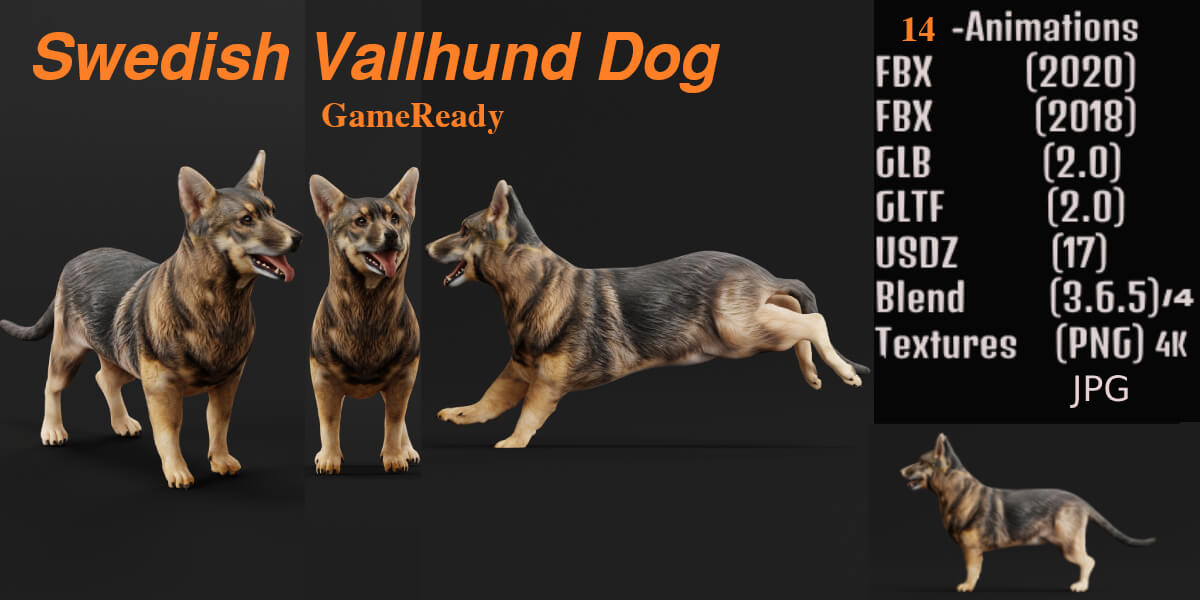Swedish Vallhund Spitz Dog - 3D Model by Nyilonelycompany