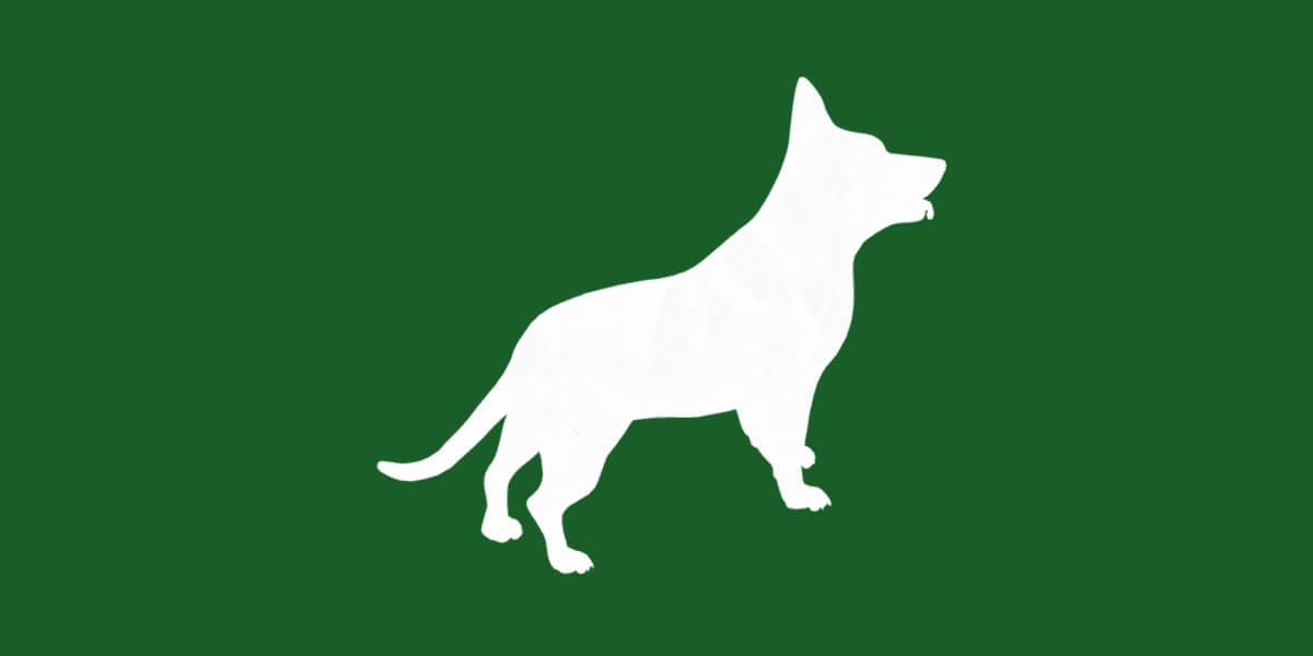 Swedish Vallhund Spitz Dog - 3D Model by Nyilonelycompany