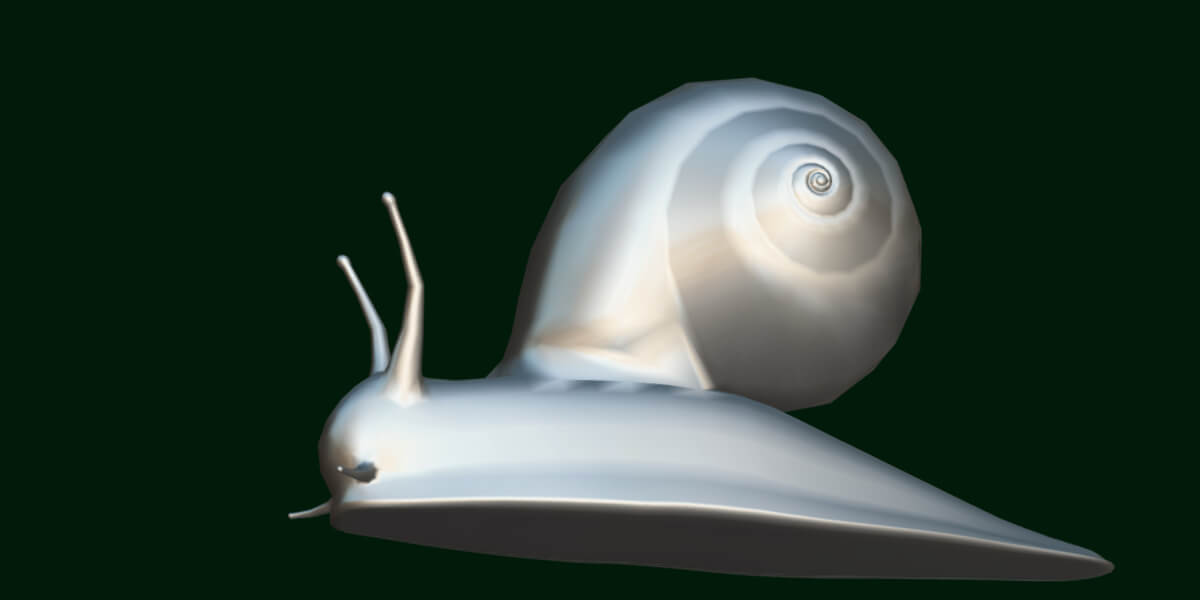 Swinhoe Giant Snail Gastropod - 3D Model by Nyilonelycompany