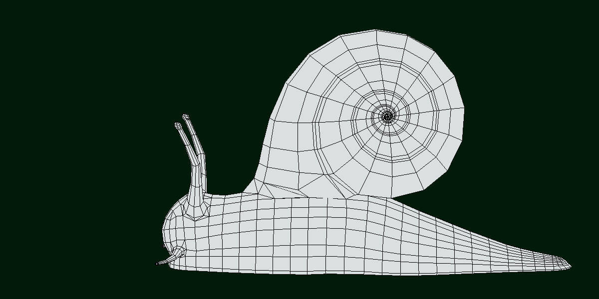 Swinhoe Giant Snail Gastropod - 3D Model by Nyilonelycompany