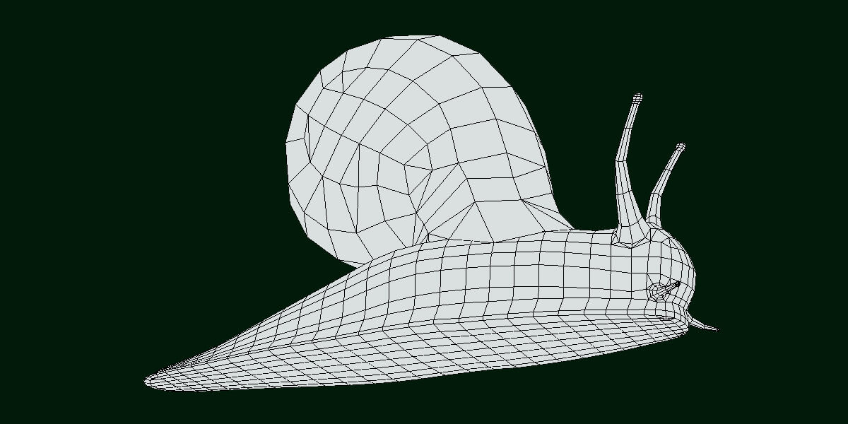 Swinhoe Giant Snail Gastropod - 3D Model by Nyilonelycompany