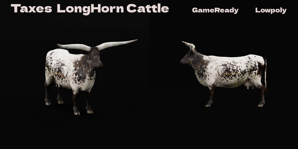 Texas Longhorn Cattle - 3D Model by Nyilonelycompany