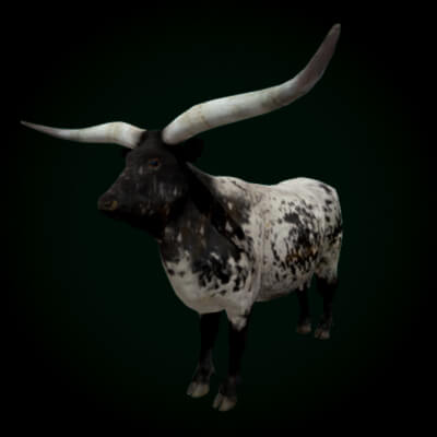 Texas Longhorn Cattle - 3D Model by Nyilonelycompany