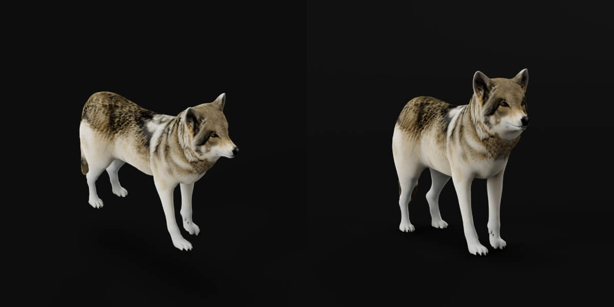The Gray Wolf - 3D Model by Nyilonelycompany