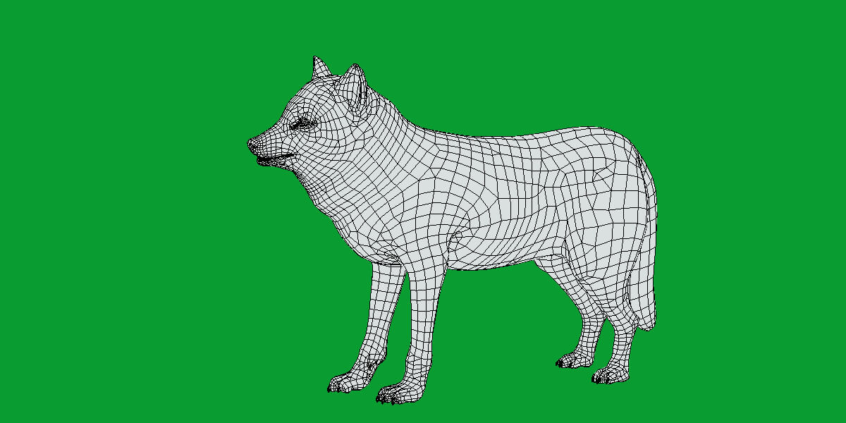The Gray Wolf - 3D Model by Nyilonelycompany