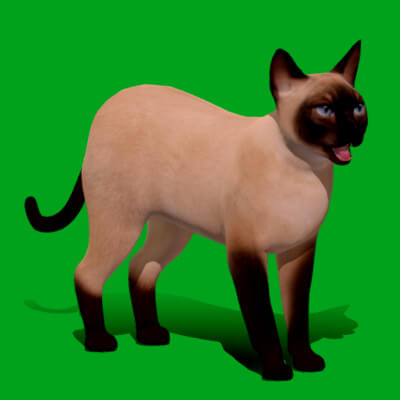 Gltf 3D Models | Animals | Cats | RenderHub