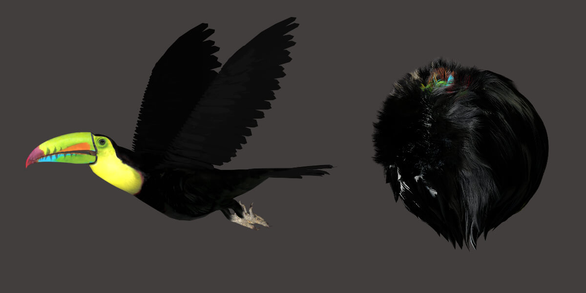 Toucan Ramphastidae Bird - 3D Model by Nyilonelycompany