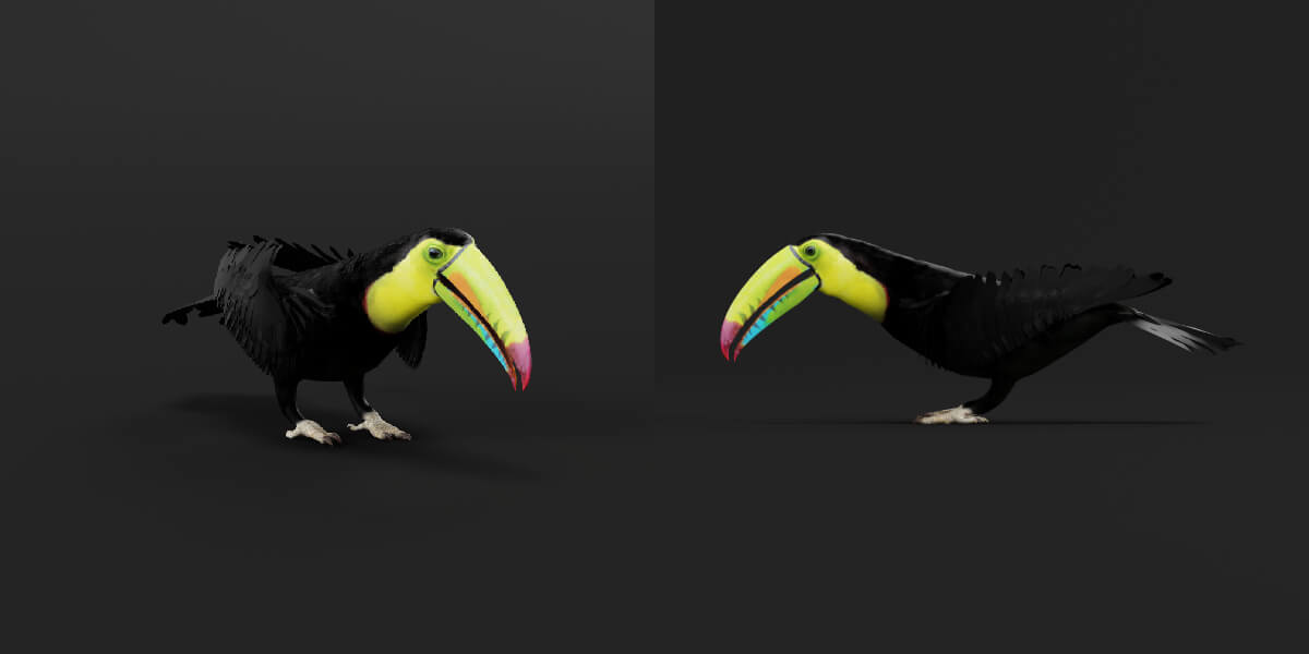 Toucan Ramphastidae Bird - 3D Model by Nyilonelycompany