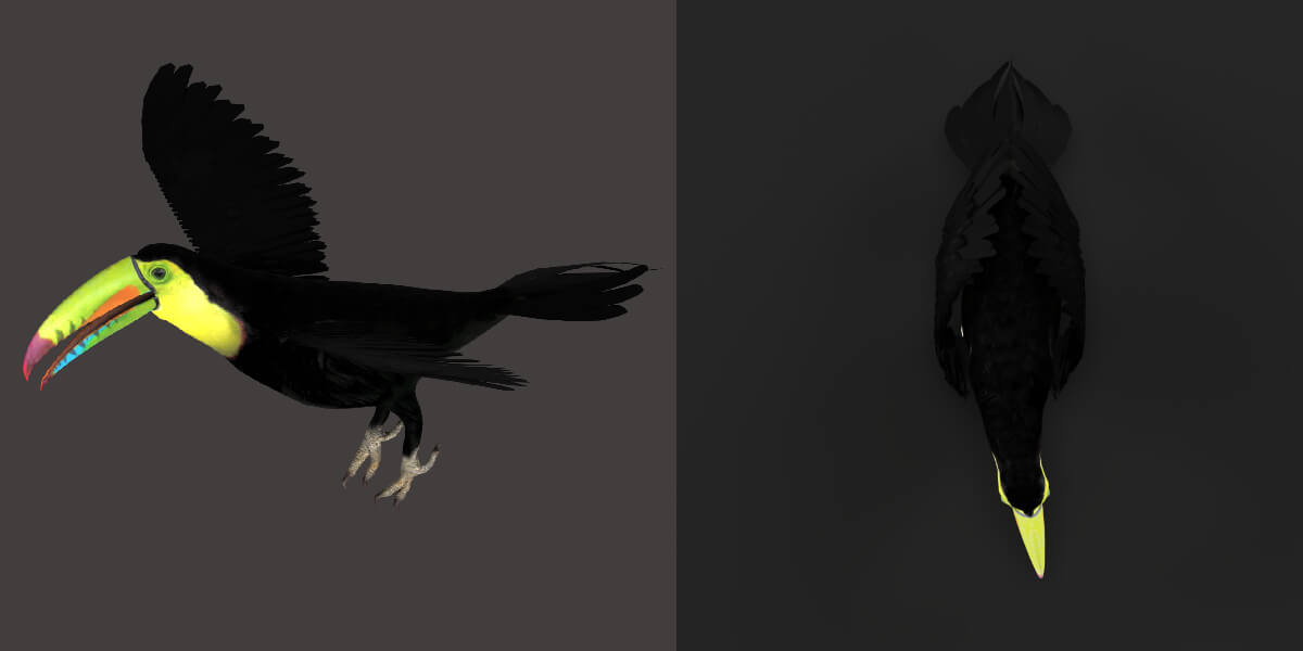 Toucan Ramphastidae Bird - 3D Model by Nyilonelycompany