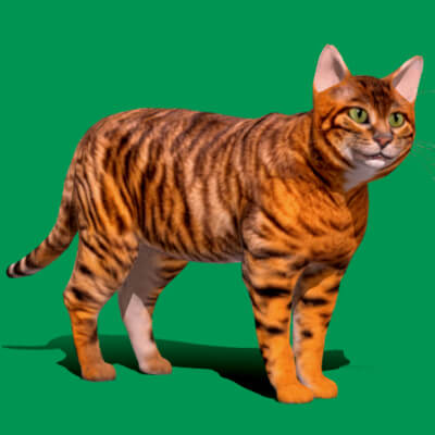 Gltf 3D Models | Animals | Cats | RenderHub