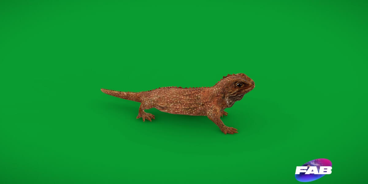 Tuatara Reptile - 3D Model by Nyilonelycompany