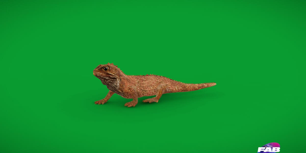 Tuatara Reptile - 3D Model by Nyilonelycompany