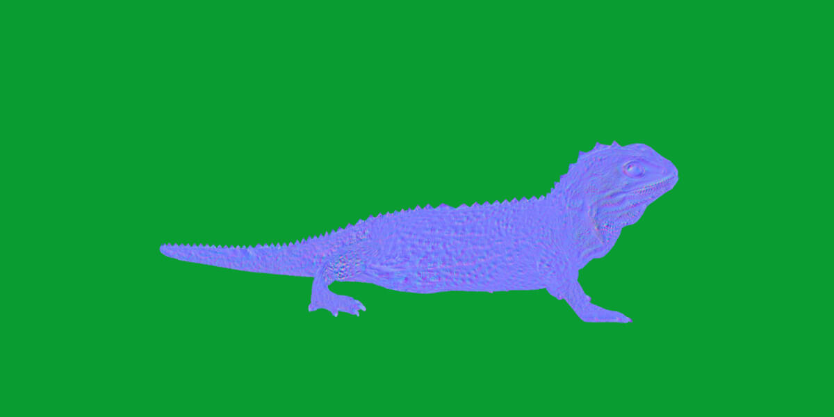 Tuatara Reptile - 3D Model by Nyilonelycompany