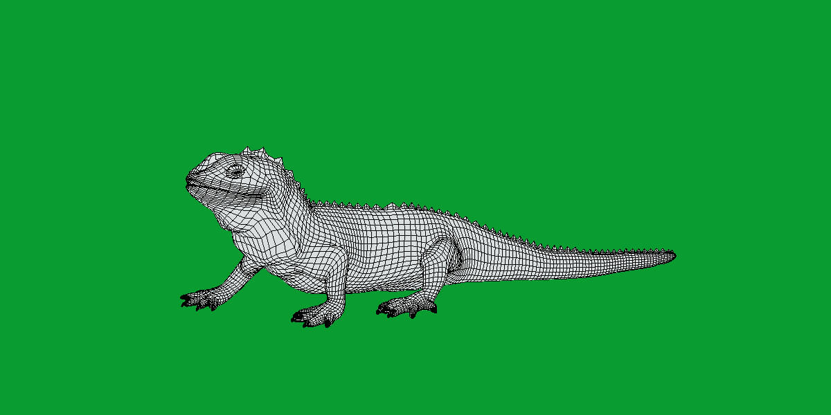 Tuatara Reptile - 3D Model by Nyilonelycompany