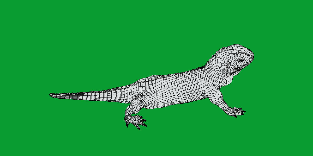 Tuatara Reptile - 3D Model by Nyilonelycompany