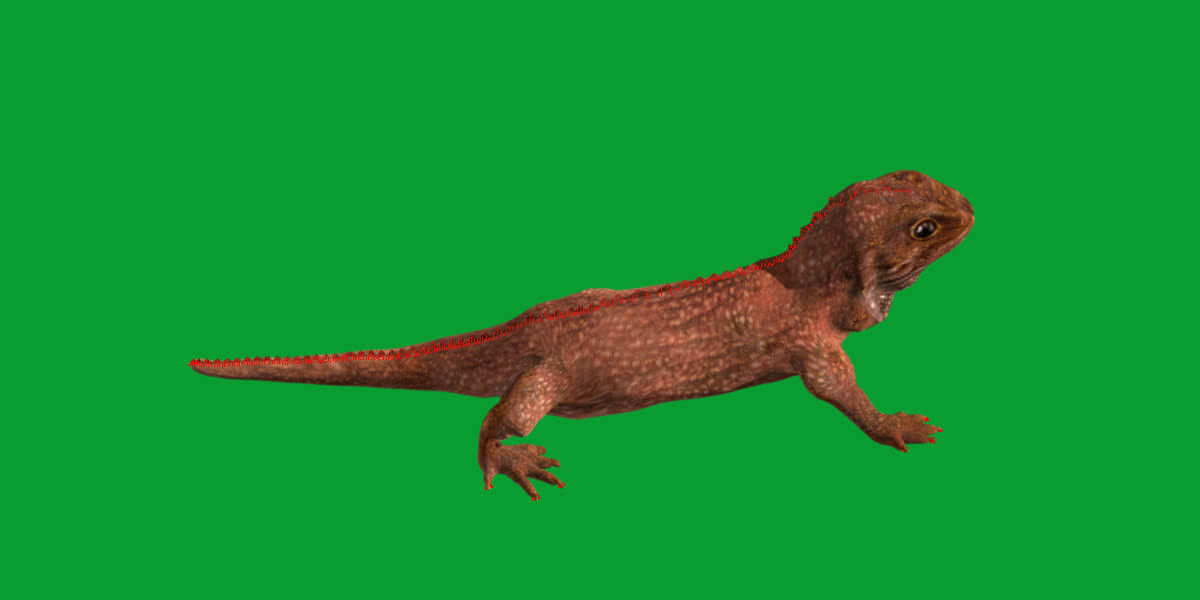 Tuatara Reptile - 3D Model by Nyilonelycompany