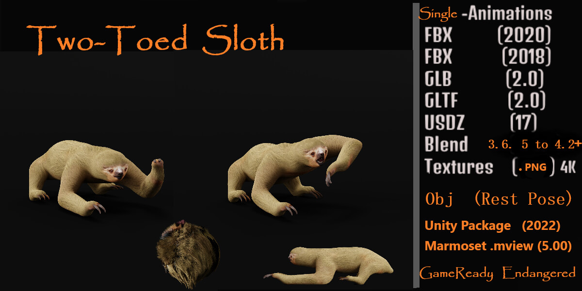 Two Toed Sloth - 3D Model by Nyilonelycompany