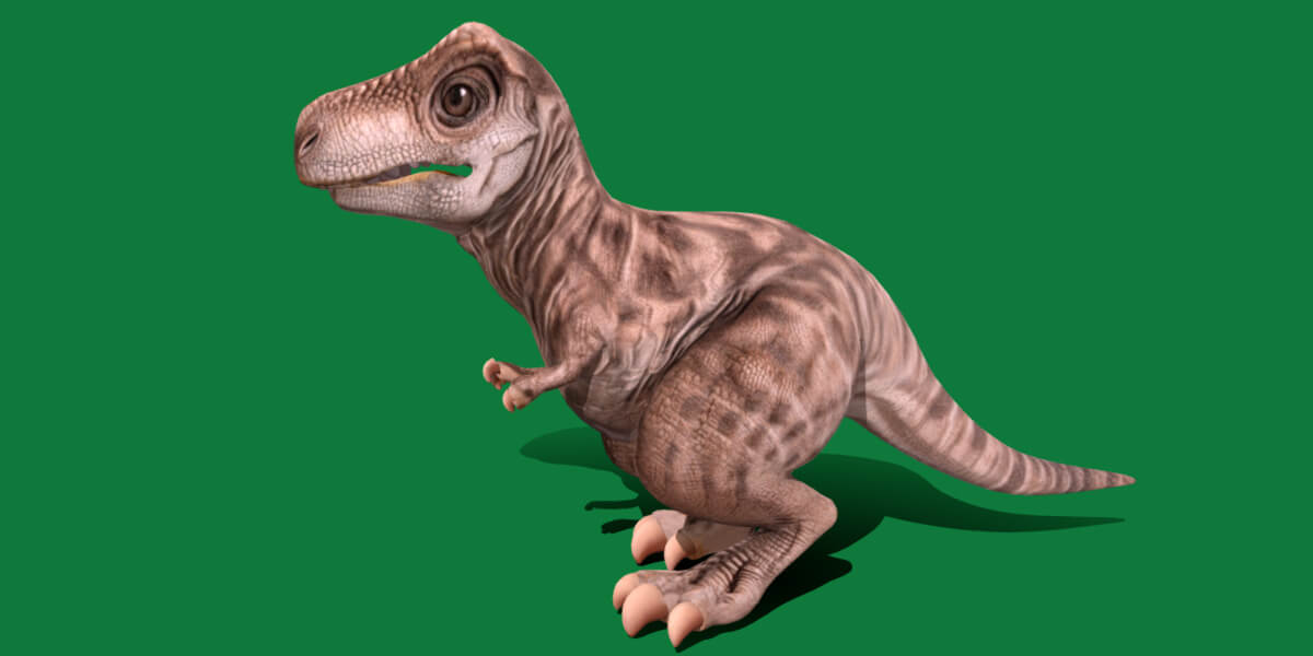 Tyrannosaurus Rex Baby Dinosaur - 3D Model by Nyilonelycompany