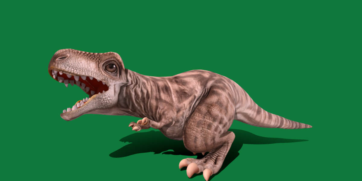 Tyrannosaurus Rex Baby Dinosaur - 3D Model by Nyilonelycompany