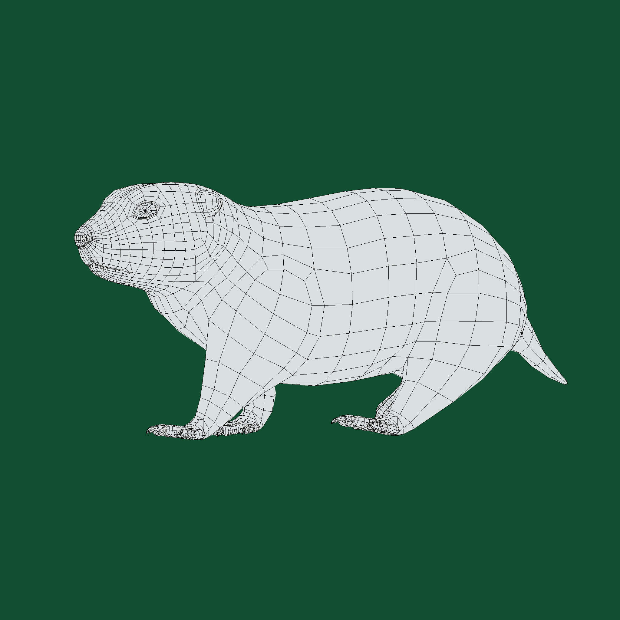 Vancouver Island Marmot Rodent - 3D Model by Nyilonelycompany
