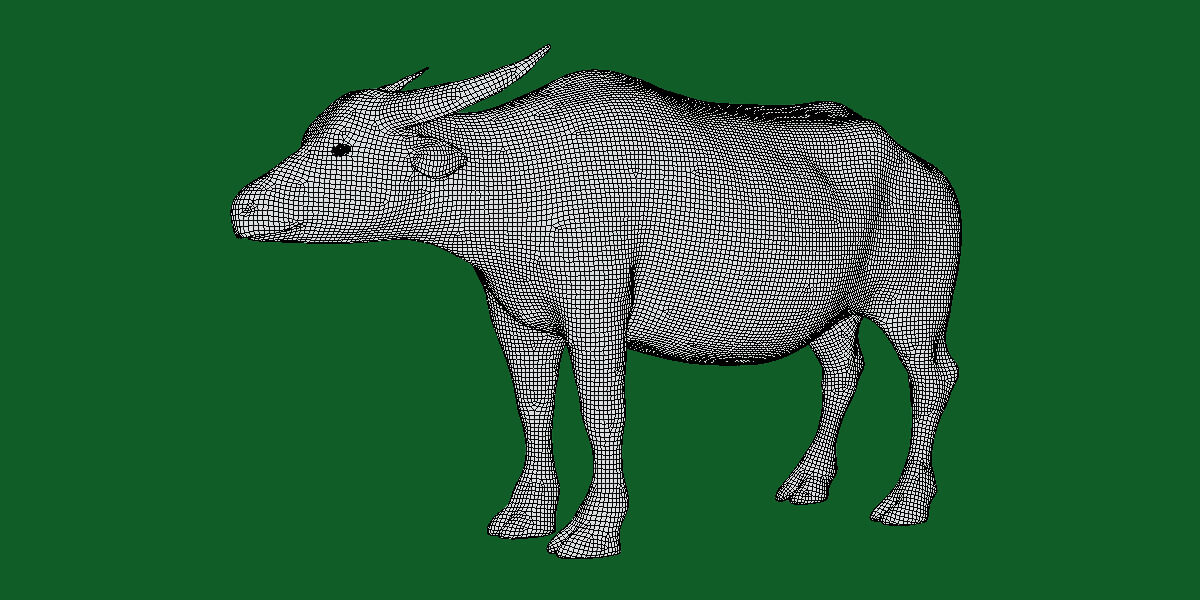 White Albino Asian Water Buffalo - 3D Model by Nyilonelycompany