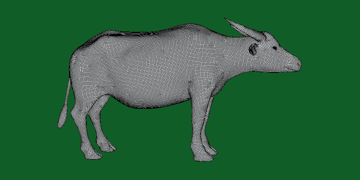 White Albino Asian Water Buffalo - 3D Model by Nyilonelycompany