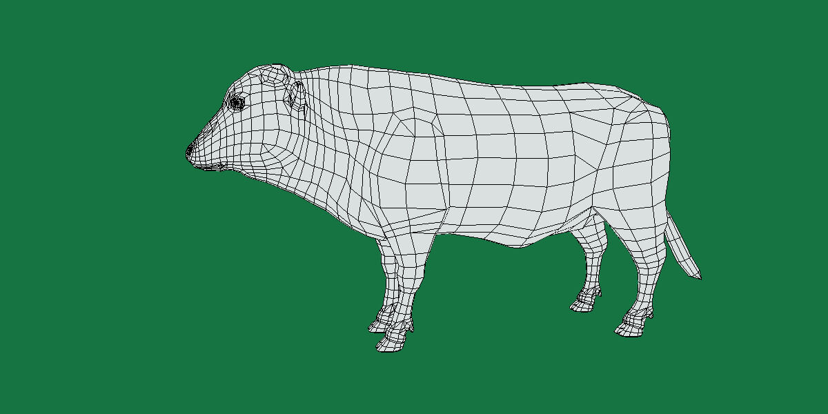 White Bull Cattle - 3D Model by Nyilonelycompany