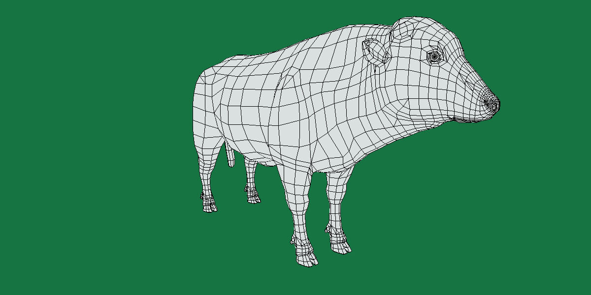 White Bull Cattle - 3D Model by Nyilonelycompany