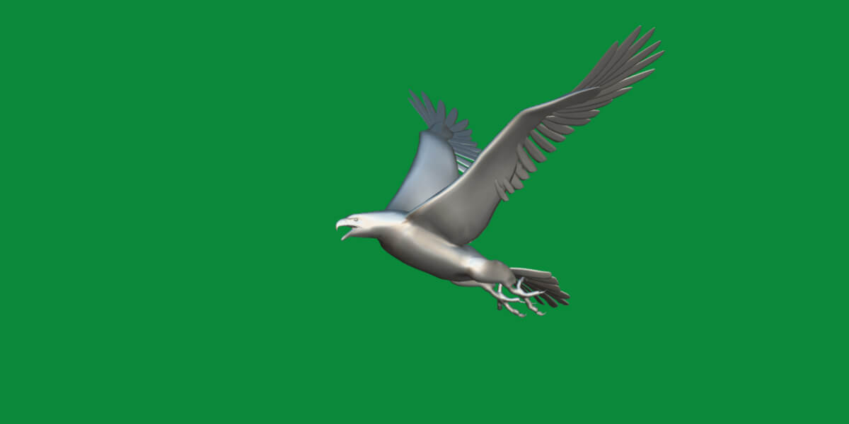 White Morph Gyrfalcon Bird - 3D Model by Nyilonelycompany