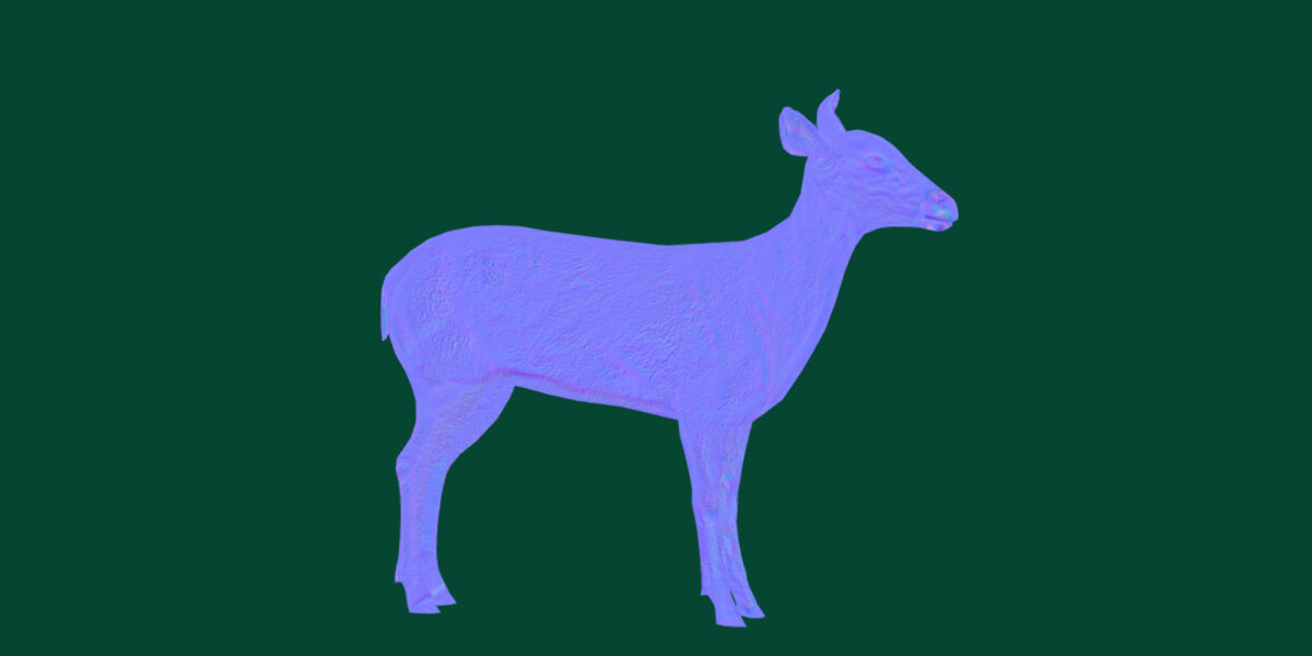 White Tailed Deer Female - 3D Model by Nyilonelycompany