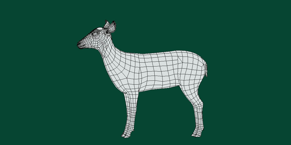 White Tailed Deer Female - 3D Model by Nyilonelycompany