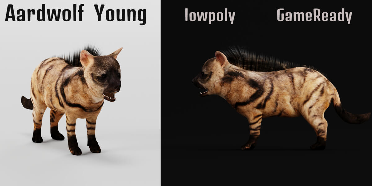 Young Aardwolf Offspring - 3D Model by Nyilonelycompany