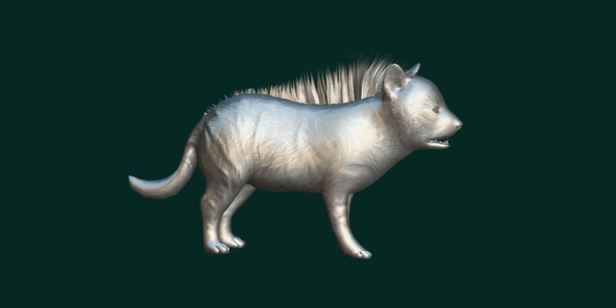 Young Aardwolf Offspring - 3D Model by Nyilonelycompany