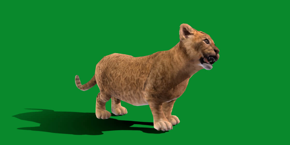 Young Lion Cub - 3D Model by Nyilonelycompany