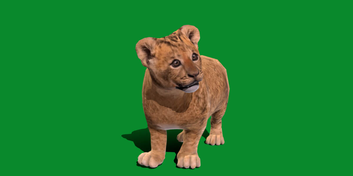 Young Lion Cub - 3D Model by Nyilonelycompany