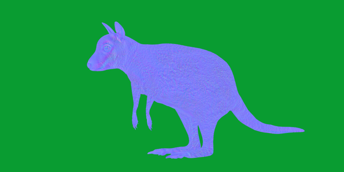 Young Wallaby - 3D Model by Nyilonelycompany