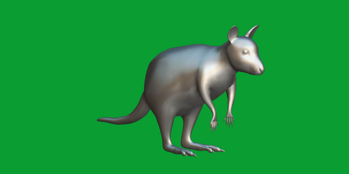 Young Wallaby - 3D Model by Nyilonelycompany