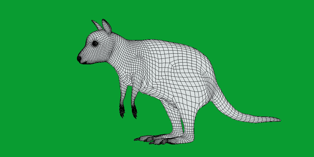 Young Wallaby - 3D Model by Nyilonelycompany