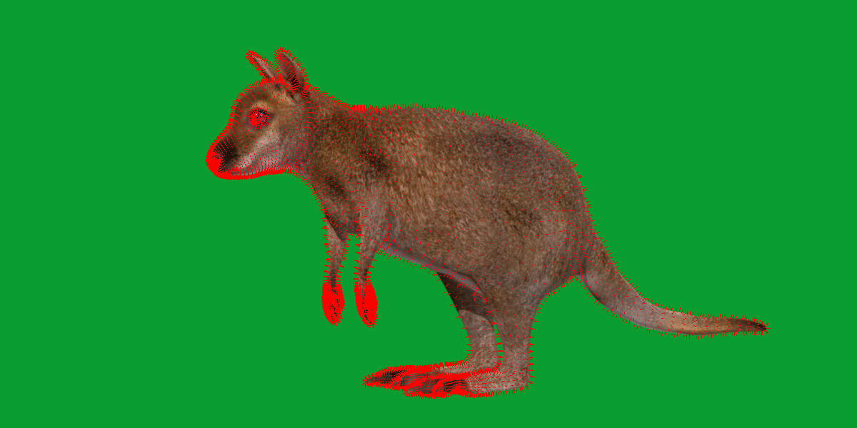 Young Wallaby - 3D Model by Nyilonelycompany