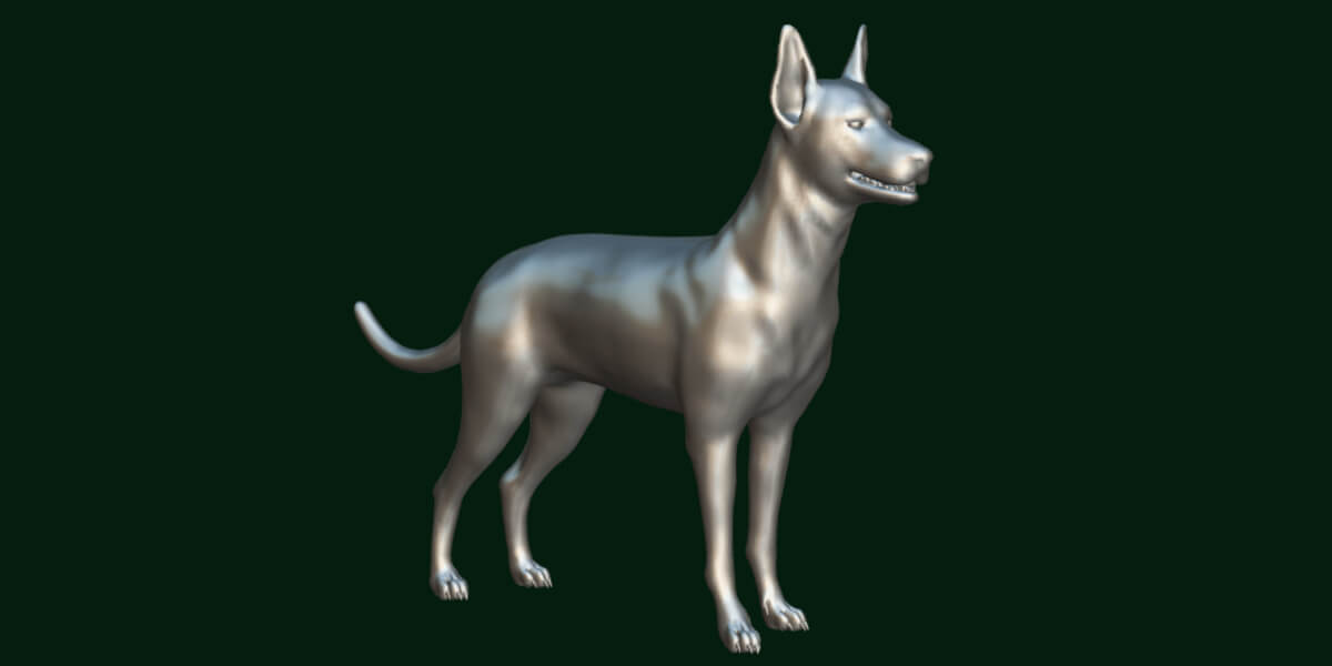 Zwergpinscher Pinscher Dog Breed - 3D Model by Nyilonelycompany