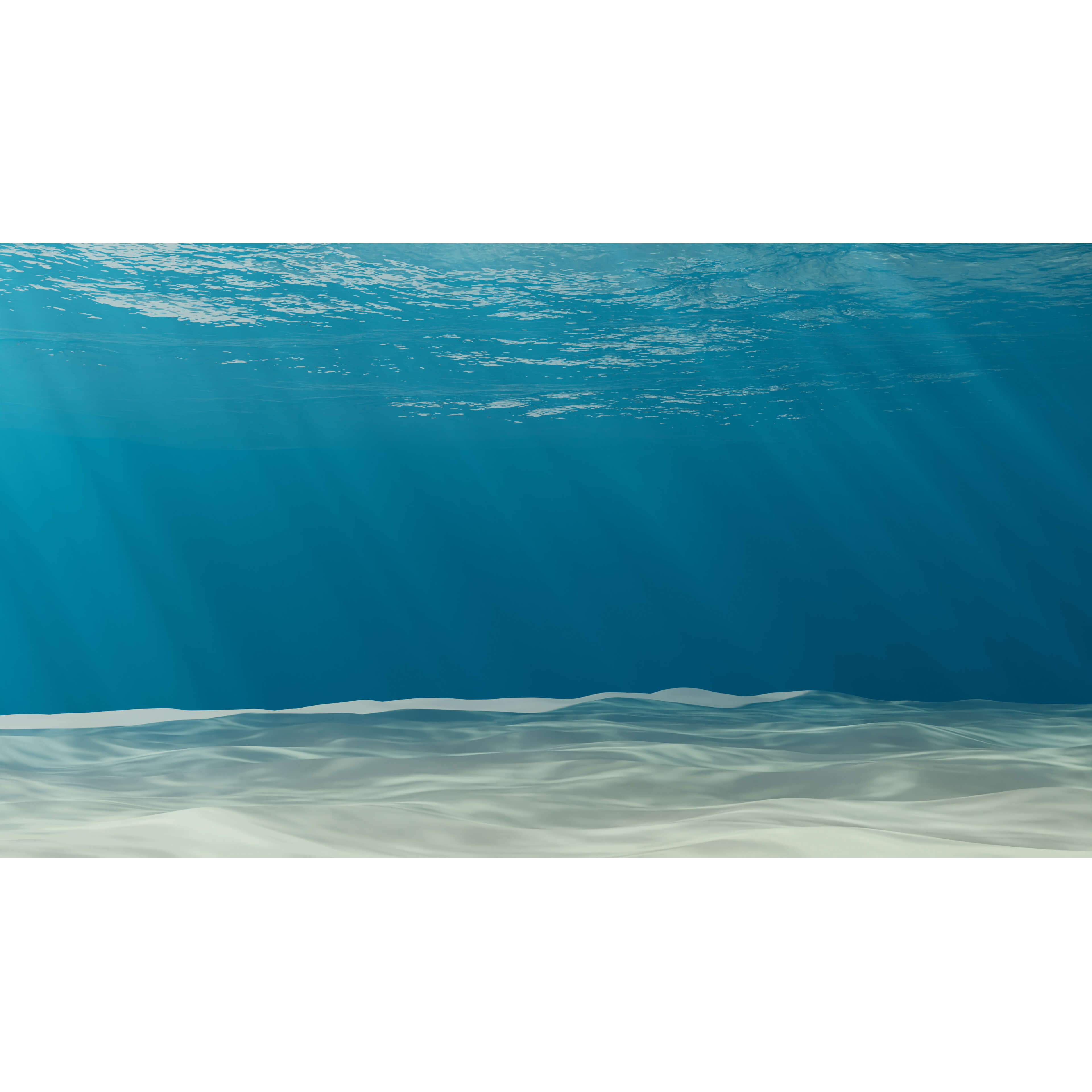 Underwater Ocean Scene - 3D Model by Ocstard